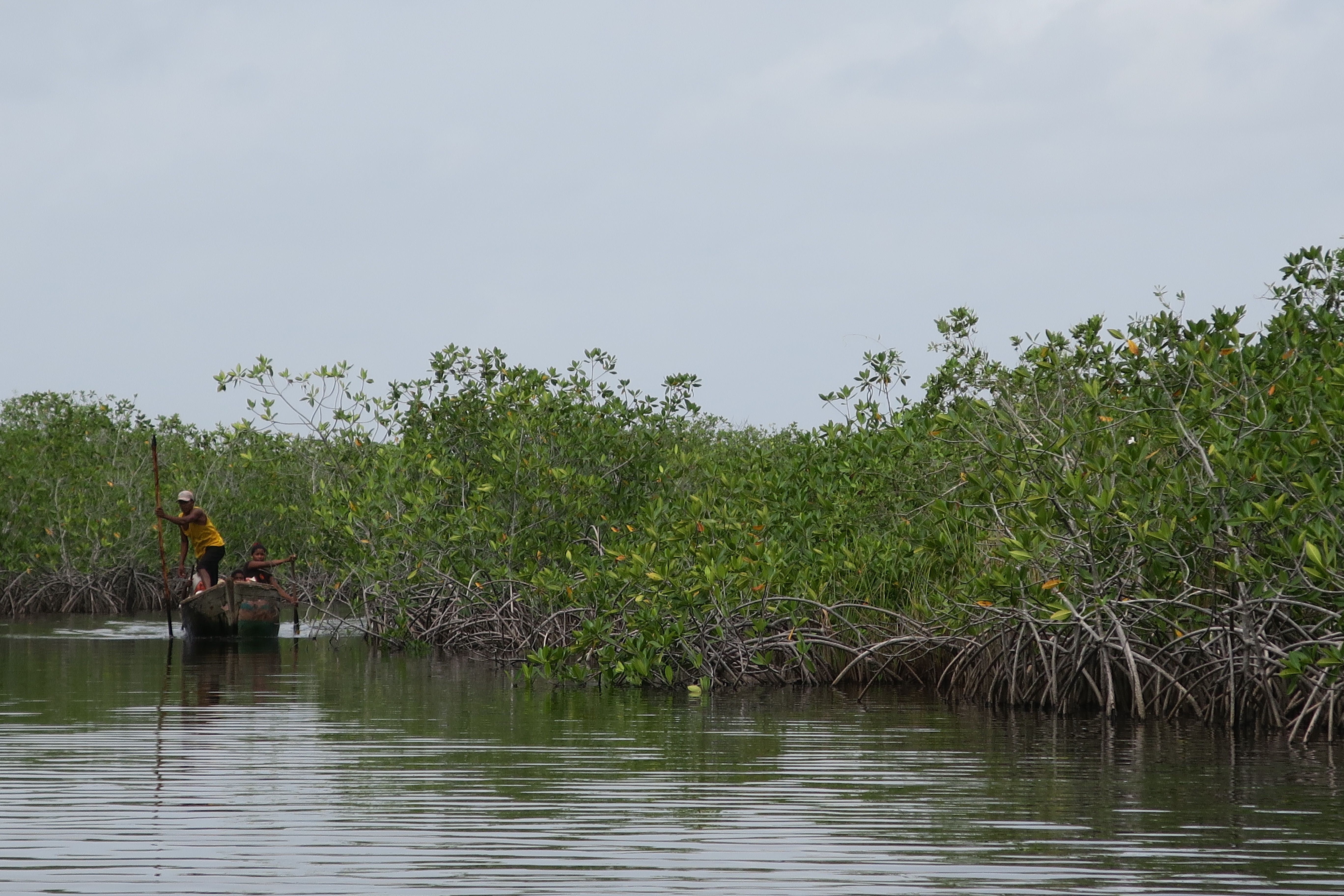 Miskito Canoe Front View | Go Beyond